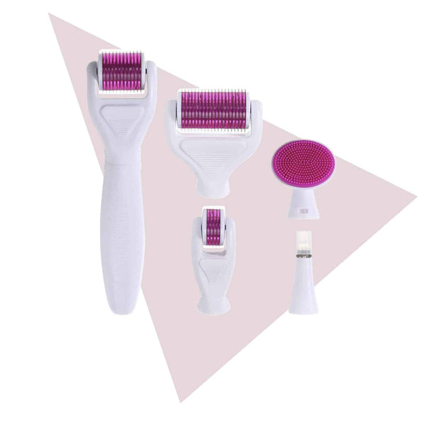 Derma Roller 6 in 1 Derma Roller System – The Artistry